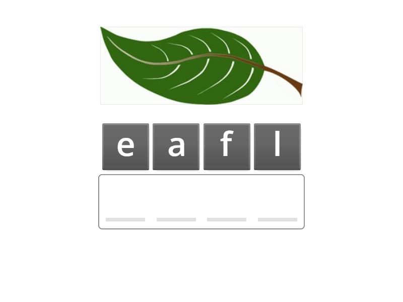 Re-order the words - Anagram