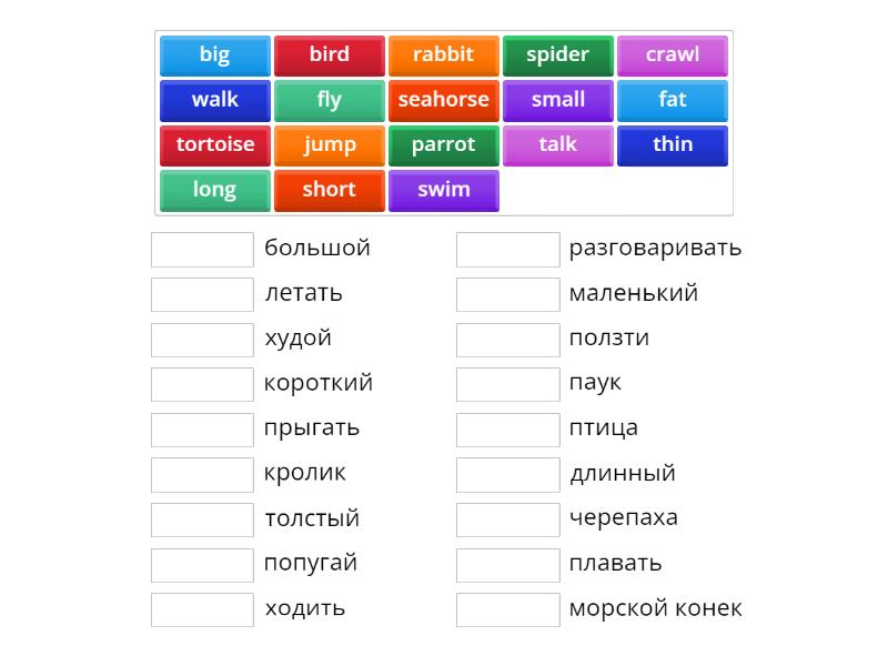 Spotlight 3 module 5 - Match up