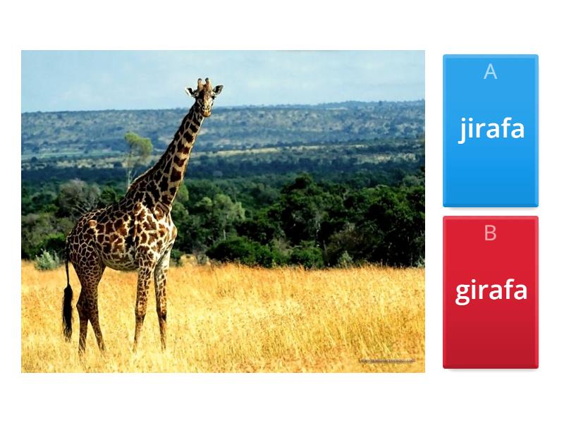 LEE Y SELECCIONE LA PALABRA ESCRITA CORRECTAMENTE - Quiz