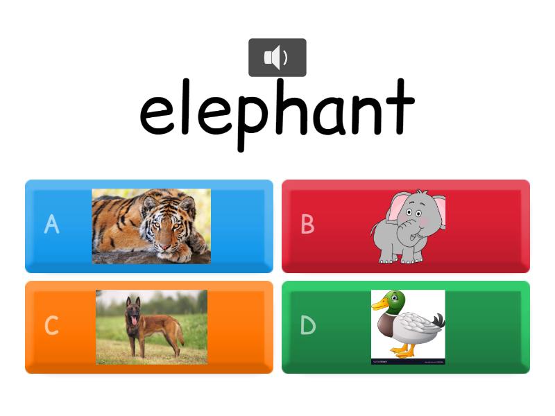 Jet 1 Unit 2 A - Quiz