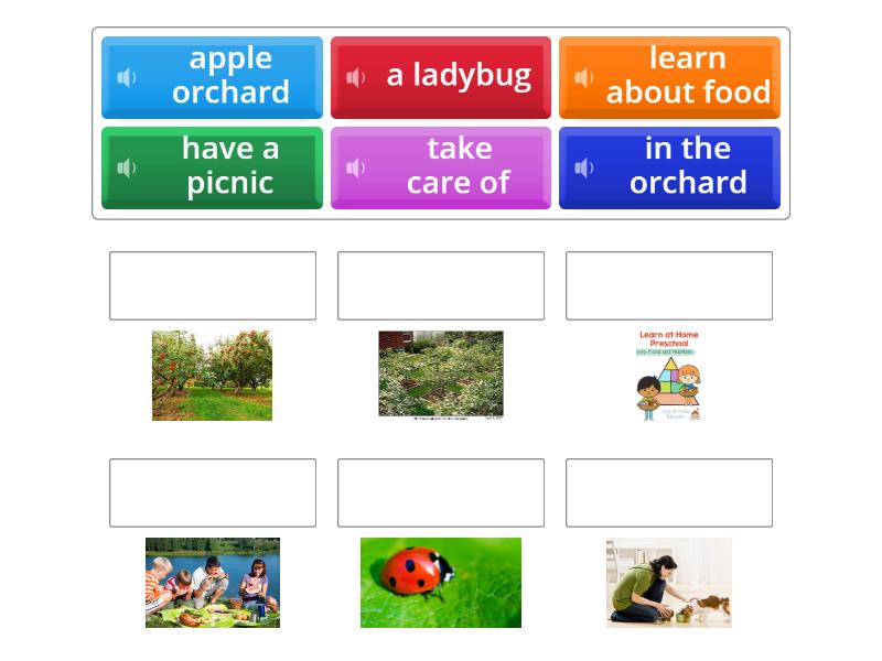 TT 2 Unit 5 Fun on the farm. Lesson 5: Culture - Match up