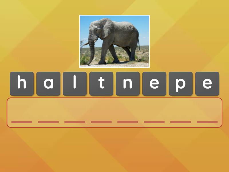 Smart junior 2 unit5c - Anagram