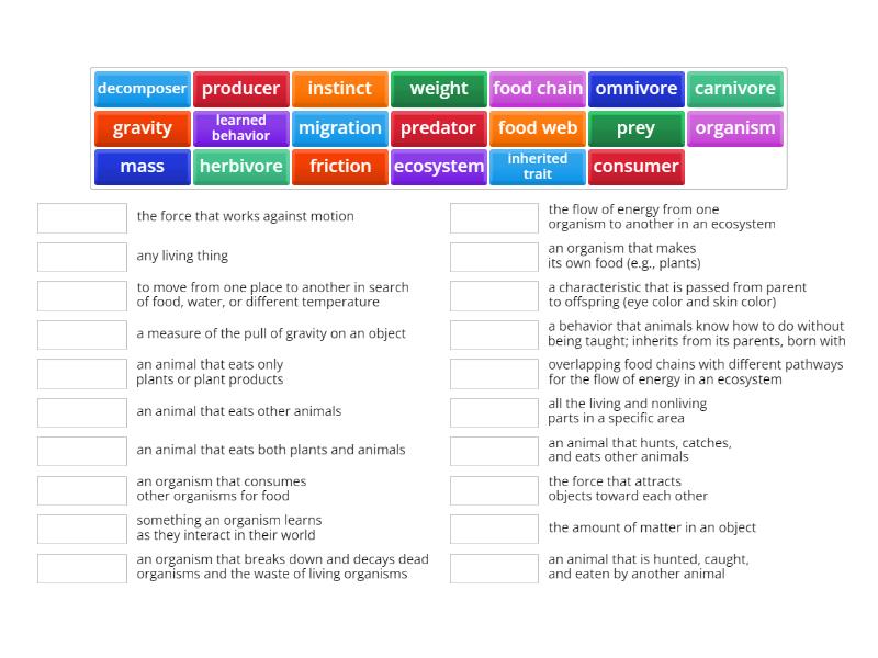 STAAR Review Vocabulary #3 - Match up
