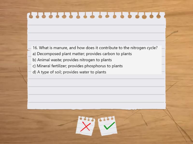 photosynthesis, Flow of Energy, Cycling of Matter grade 7 review 1st ...