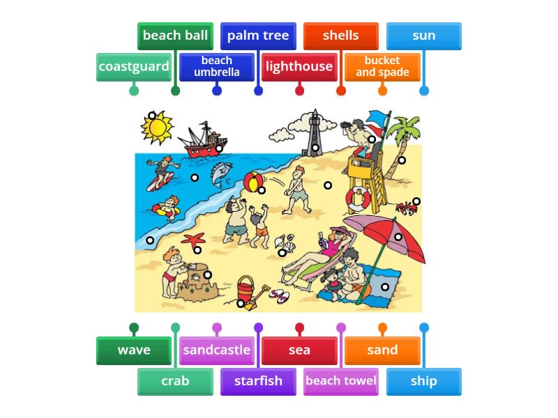 At the beach - Labelled diagram