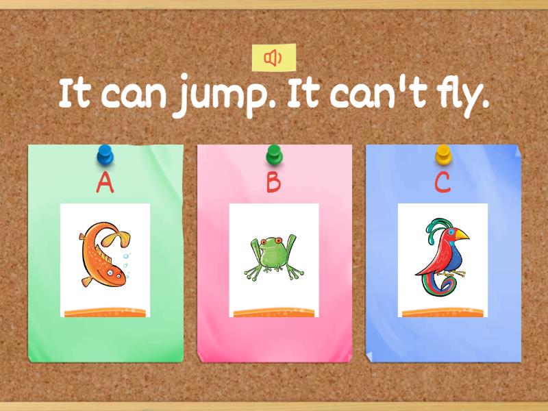 Animals Kid`s Box Starter (Unit 7) - Quiz