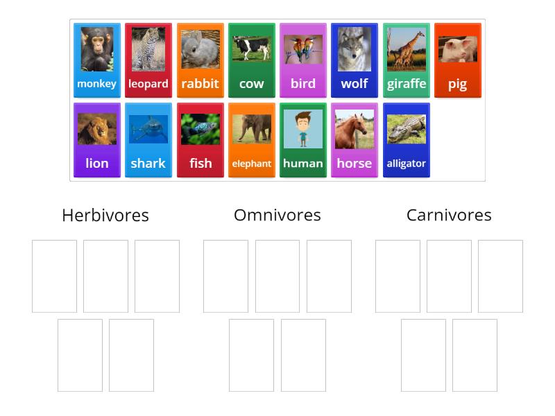 Animal diets_herbivores, omnivores, carnivores - Group sort