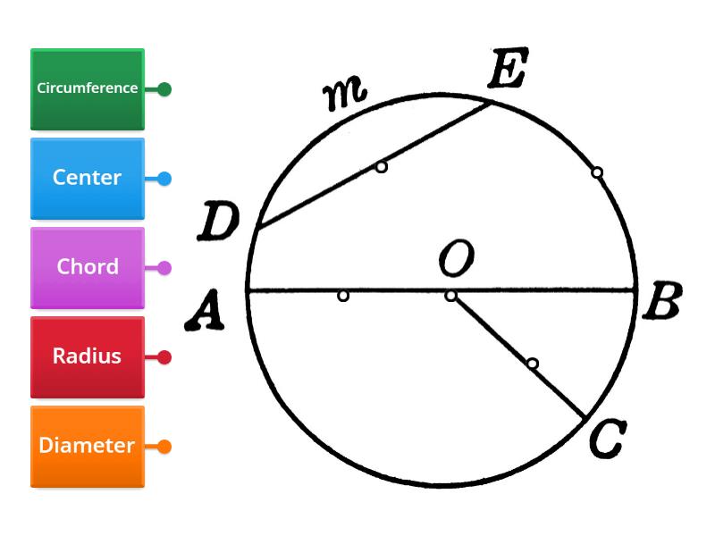 PARTS OF CIRCLE - Labelled diagram