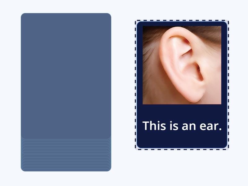 Speaking Bear SB-2 Unit 4 - Speaking cards