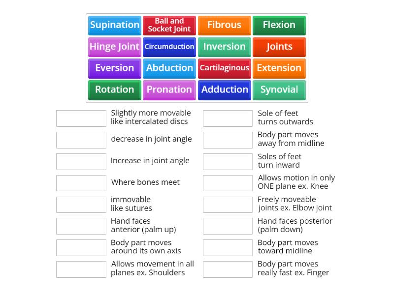 Joints - Match up