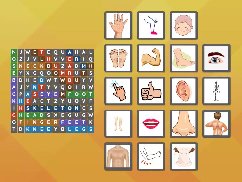 8. PARTS OF THE BODY - Sopa de letras