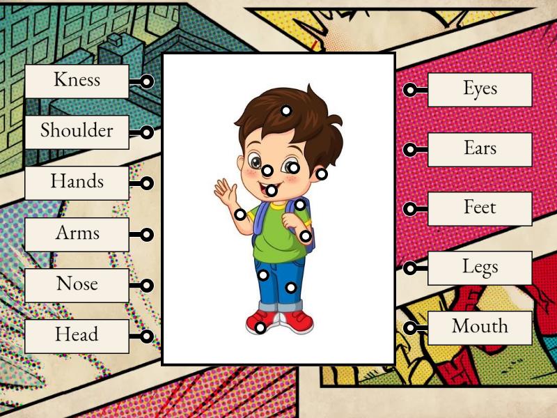 Parts of my body - Labelled diagram