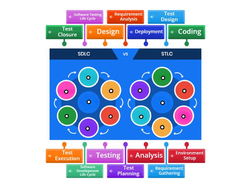 SDLC & STLC PHASES - Labelled diagram
