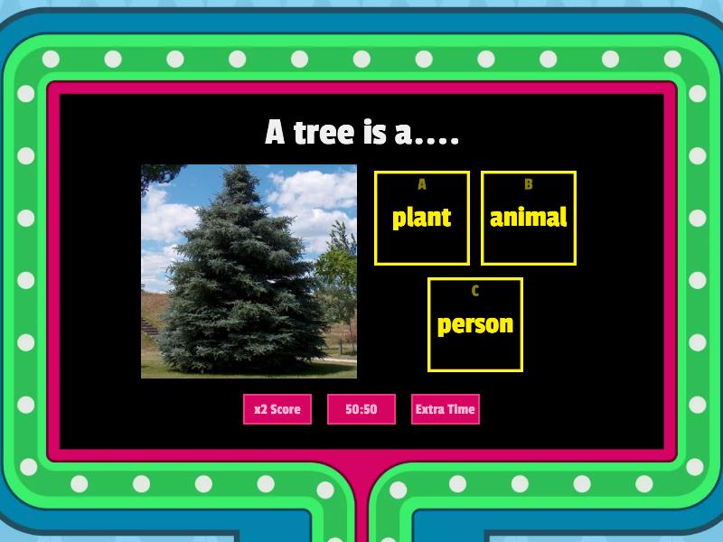 Amazing Tree Quiz - Gameshow quiz