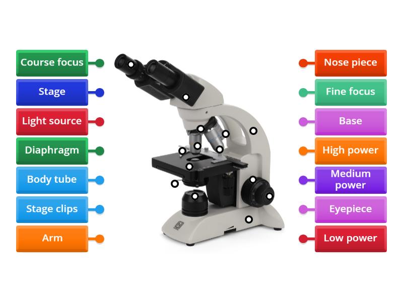 Week 46 - Microscope - Labelled diagram