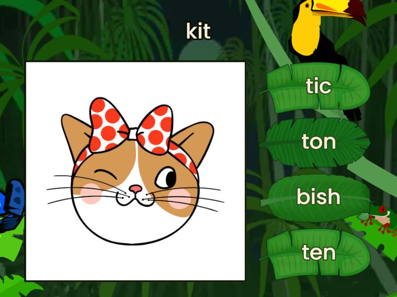 117 Rabbit Words: Match the Syllable, Reading - Quiz