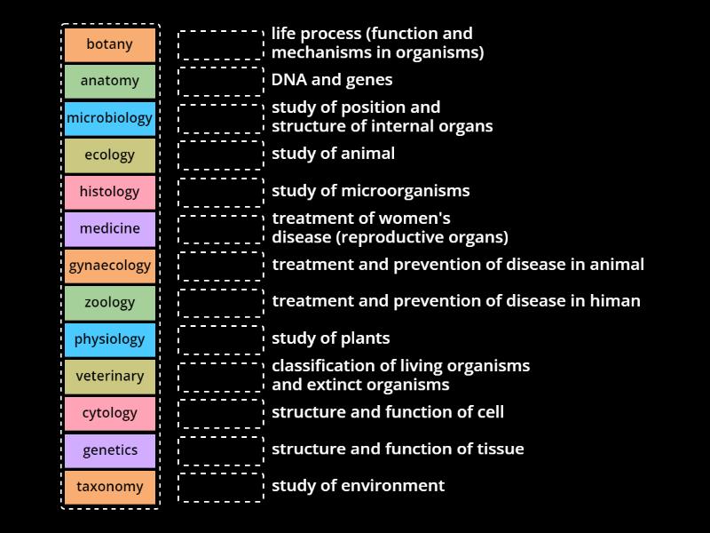 Fields in Biology - Match up