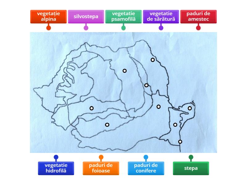 Vegetatia - Labelled diagram