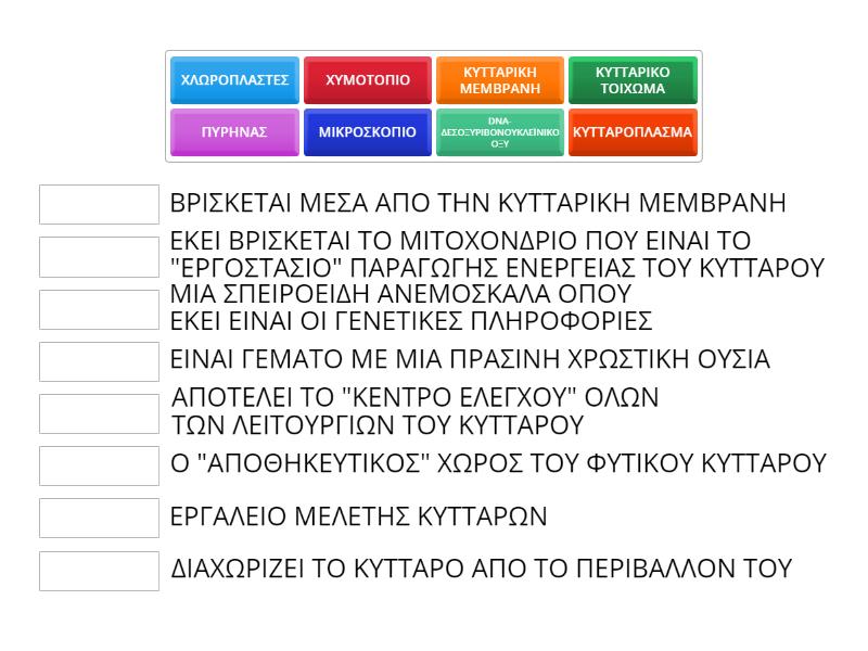 ΚΥΤΤΑΡΟ - Match up