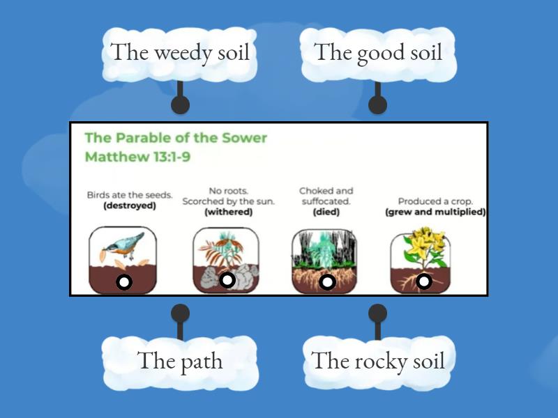 The Parable of the Sower - Labelled diagram