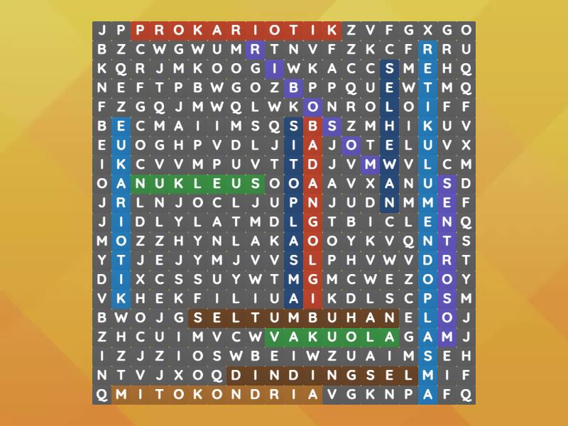 Sel Wordsearch 0173