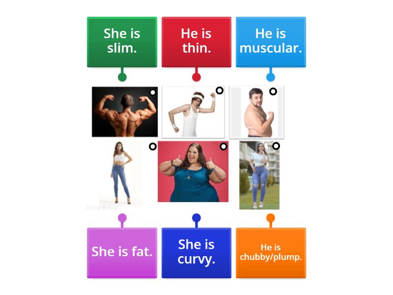 Describing body - Labelled diagram