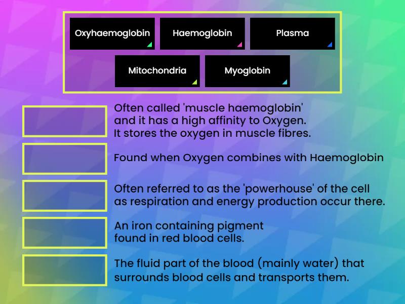 Transportation of blood - Match up