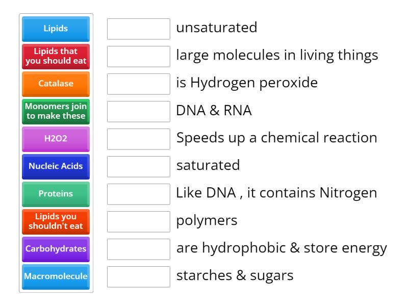MACROMOLECULE RETRIEVAL - Match up