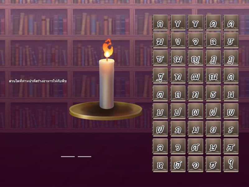 ตะลุยเรื่องง่ายๆ ของใบพืช by Kru' time - Hangman