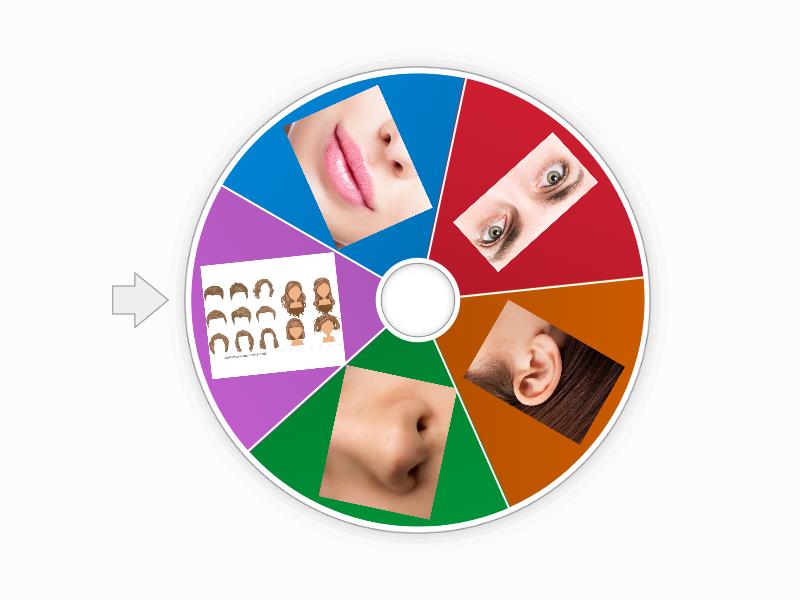 parts of the face wheel - Spin the wheel