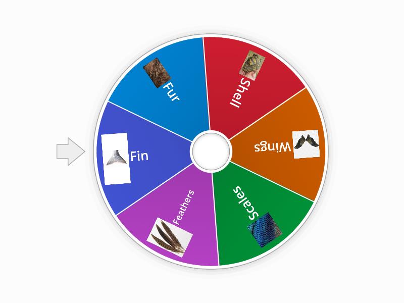 ANIMALS' CHARACTERISTICS - Spin the wheel