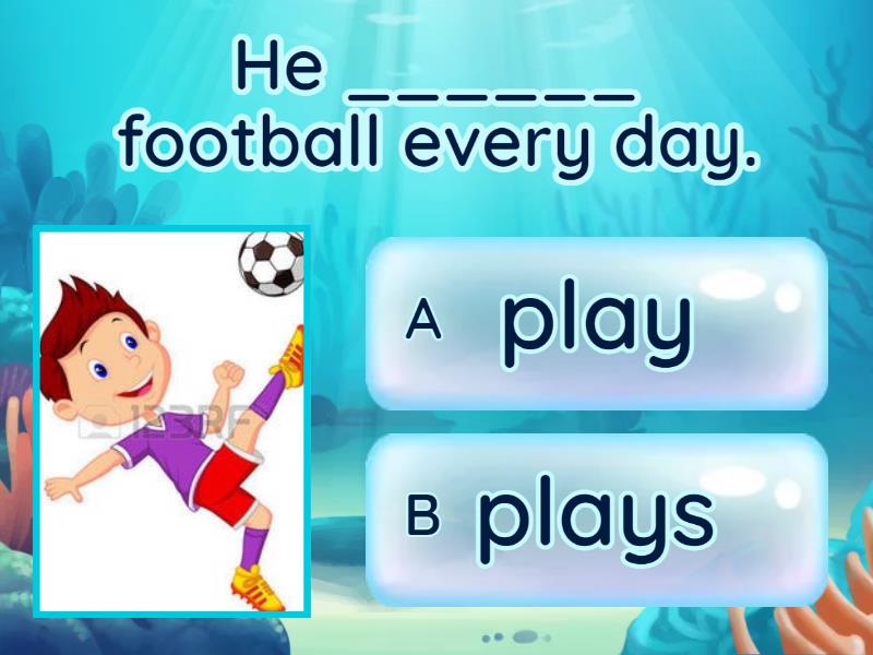 Present Simple Every day - Quiz