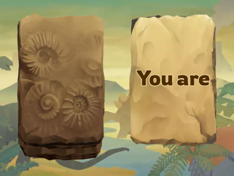 the verb to be - Speaking cards