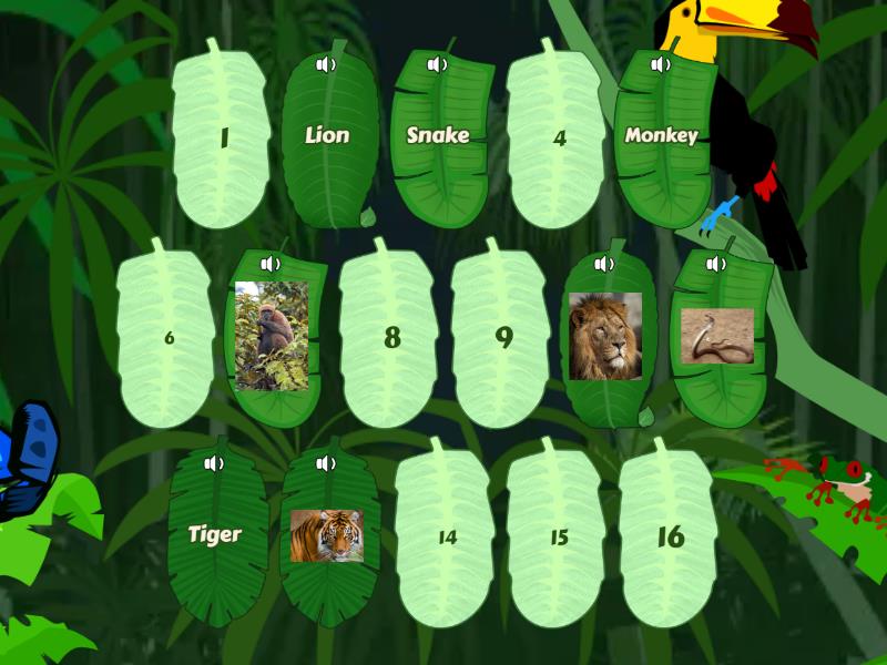 Zoo Animals Match Up - Matching pairs