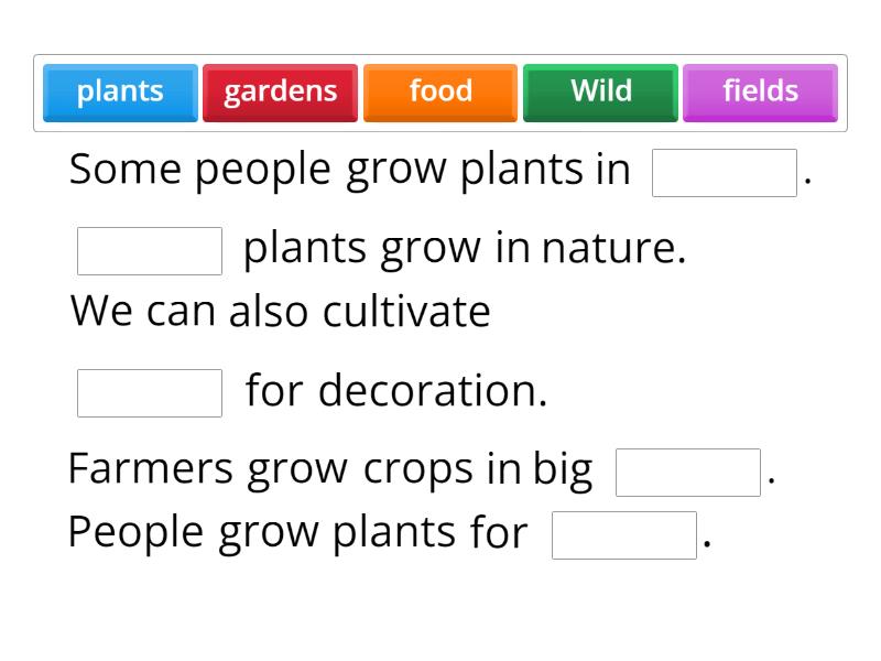 Plants - Complete the sentence