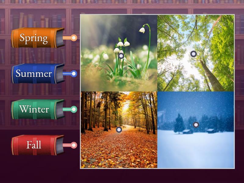 Sesons - Labelled diagram