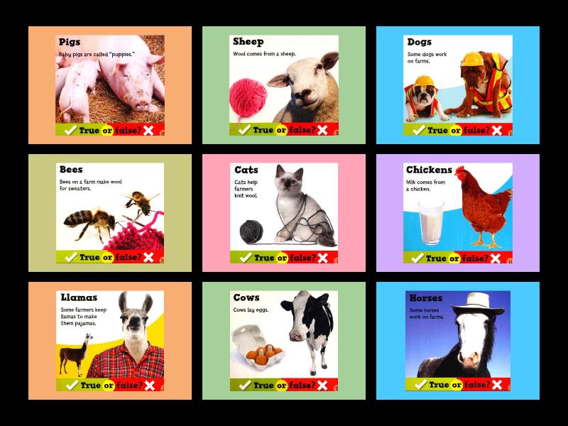 Farm Animals True/False - Flip tiles