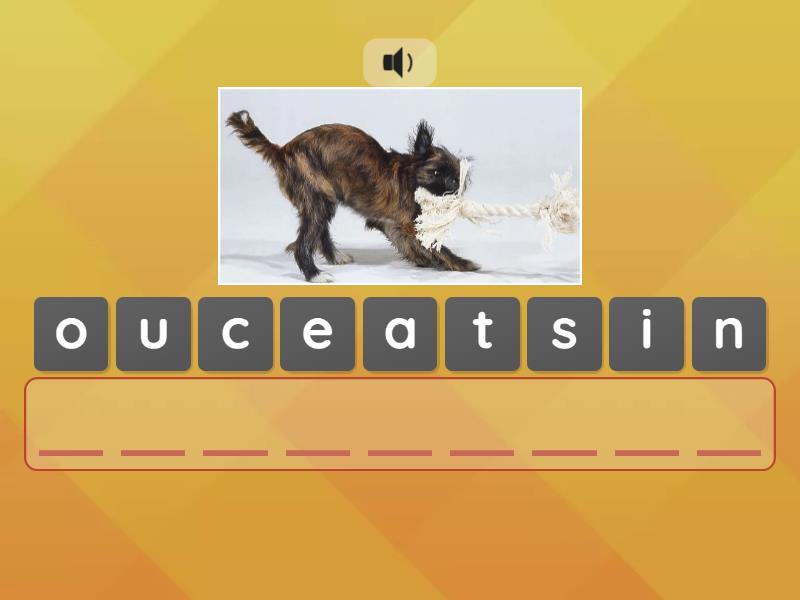 Dog's personalities - spelling - Anagram