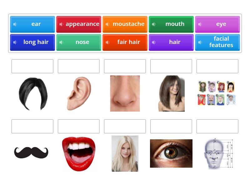 Spotlight 5 - unit 4b - appearance - Match up