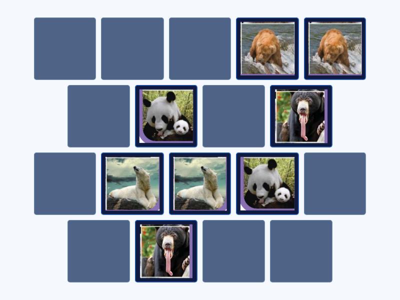 Brown Bears - Matching pairs