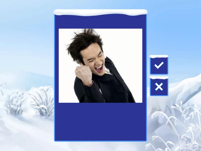 SM2 u6 emotions Oks - Flash cards