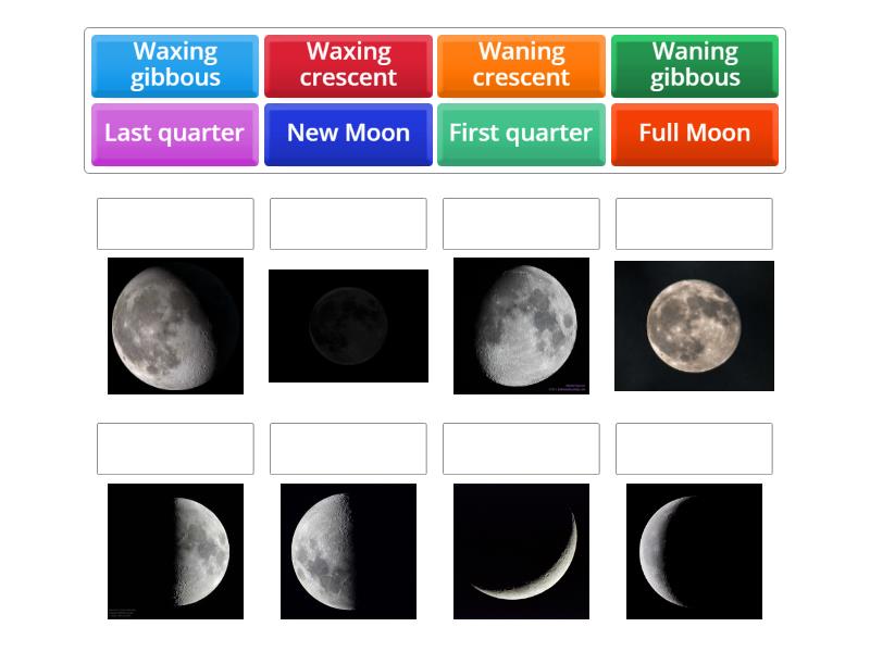 Moon Phases Review - Match up