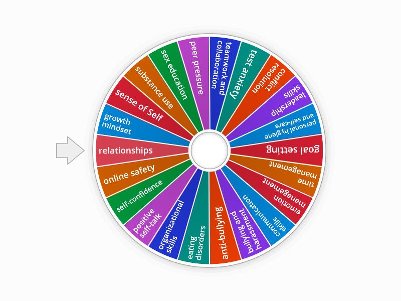 Introduction to the PSE program - Spin the wheel