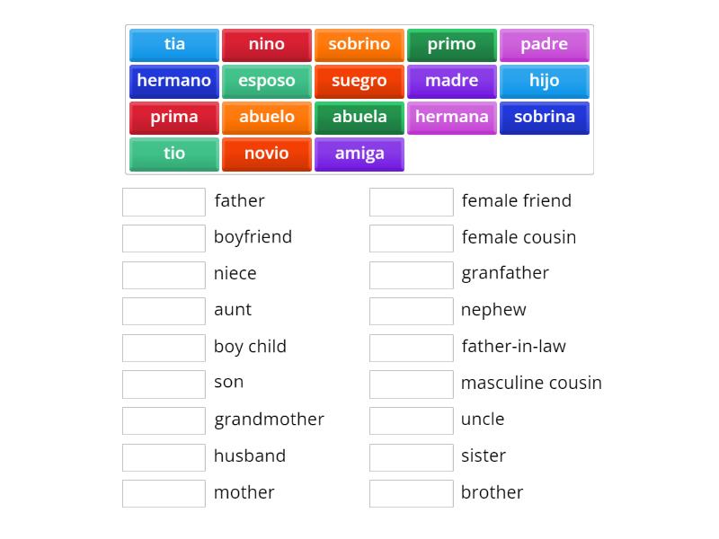 La Familia Vocabulario - Match up