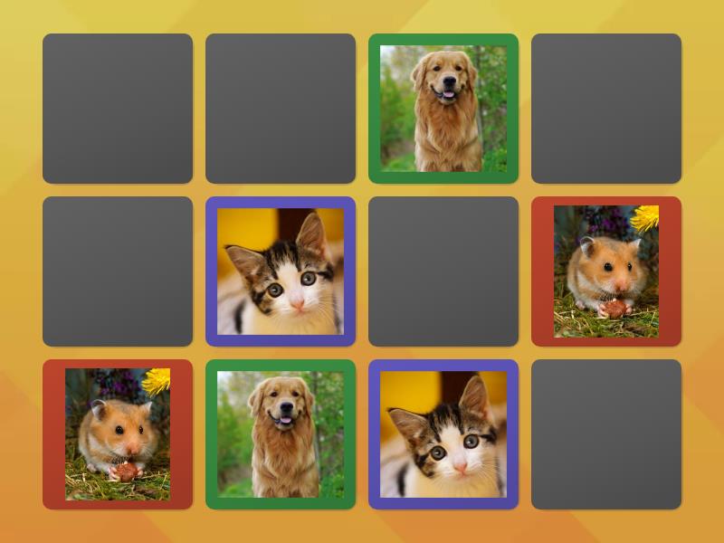 Pet match - Matching pairs