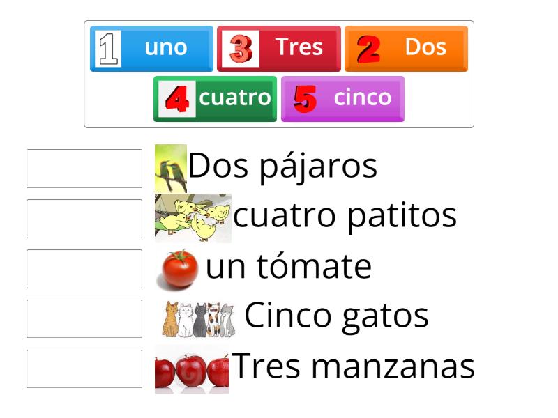 Conociendo los números - Match up
