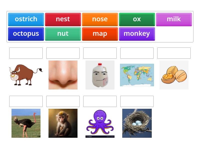 Phonics 1 Unit 5 (MNO) - Match up