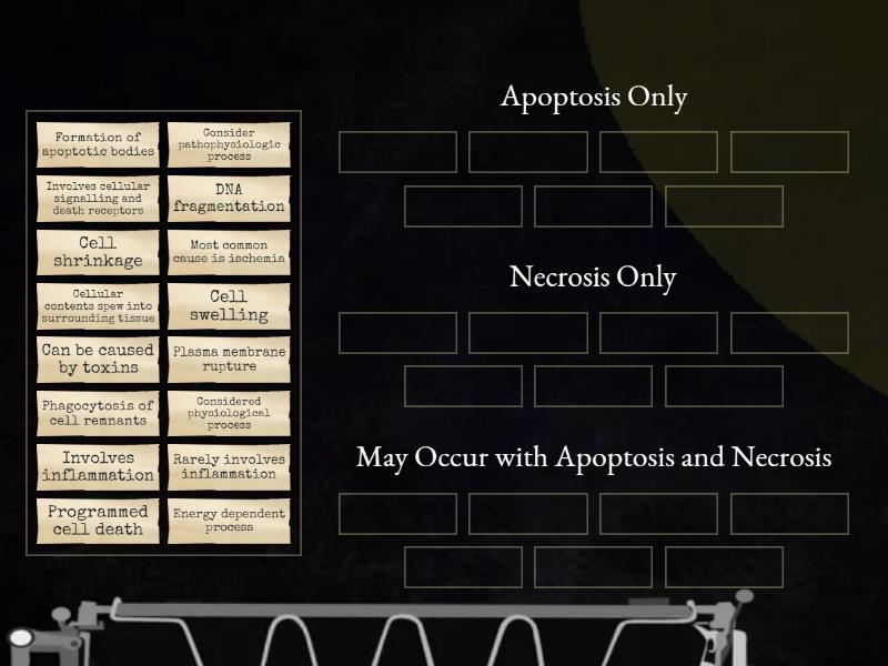 Apoptosis and Necrosis - What are differences and similarities? - Group sort
