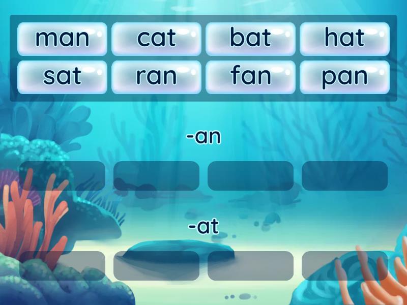 Mini Lesson 1 | Closed Sort - Group sort