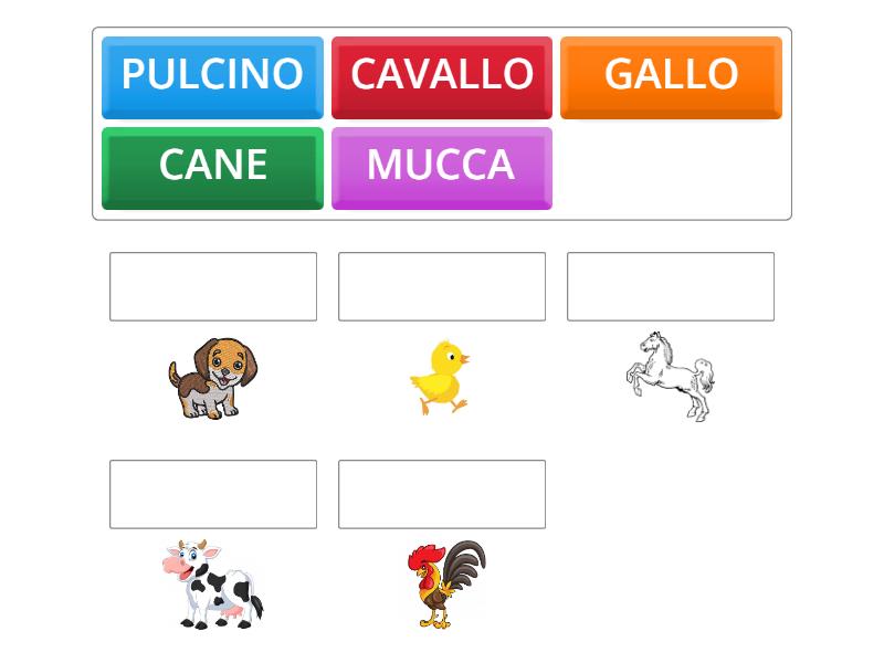CONOSCIAMO LA FATTORIA - Match up